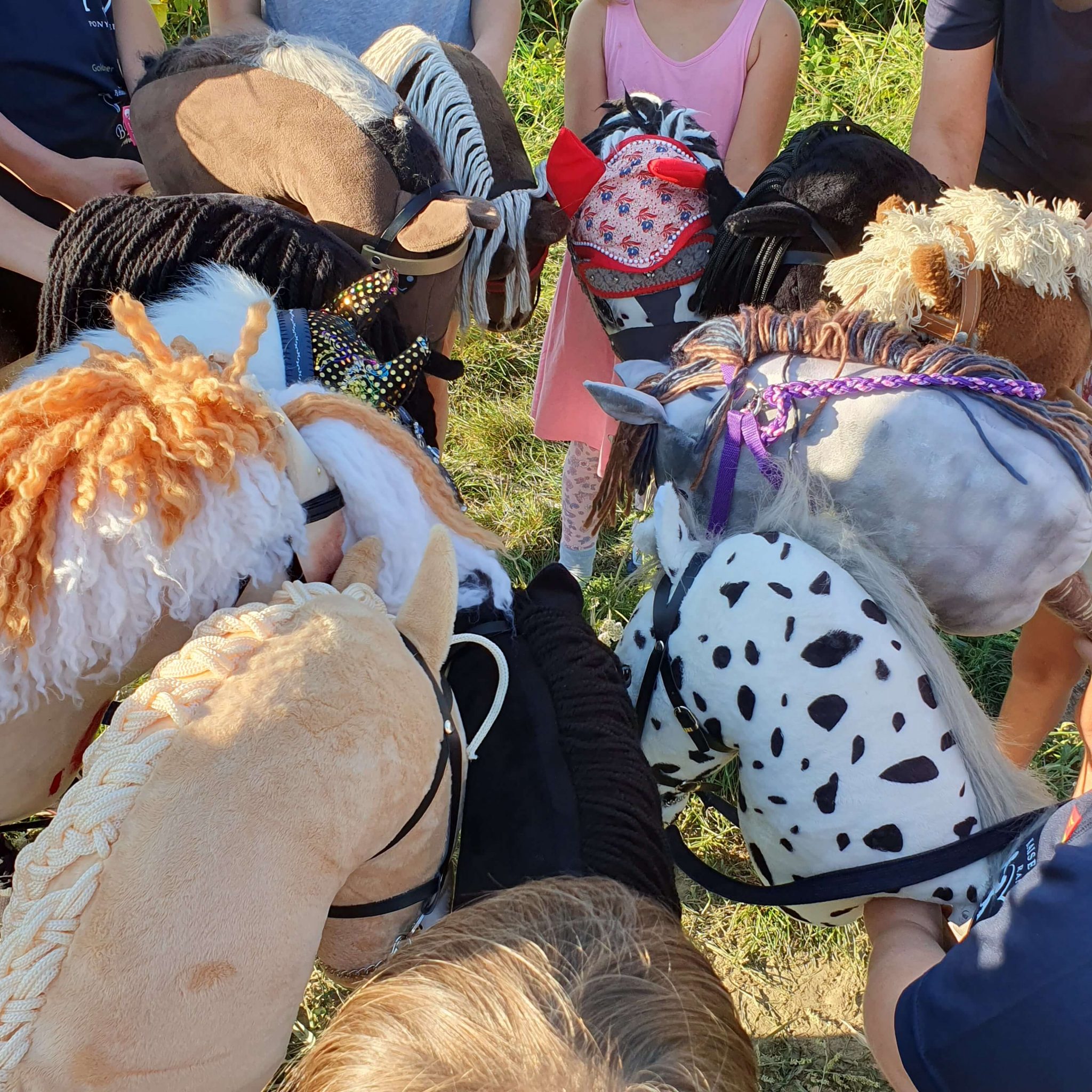 Ein unvergessliches Hobby Horsing Wochenende in Wyhl - Hobby Horsing ...