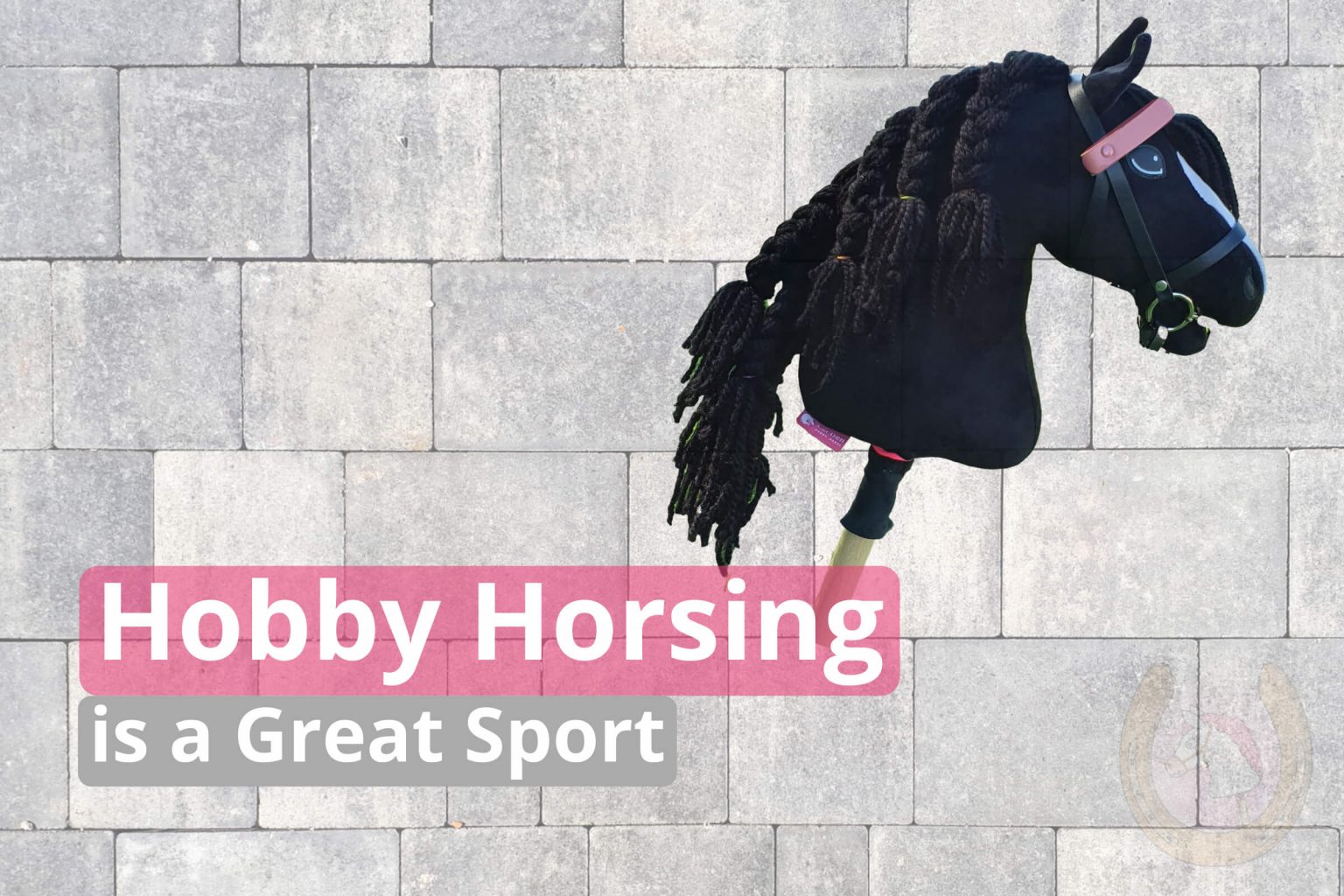 #khtgermany - Du bist nicht alleine mit dem Sport Hobby Horsing